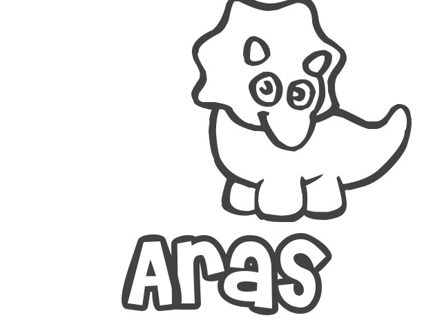 Nombre de Niño Aras, significado, origen y pronunciación de Aras ...
