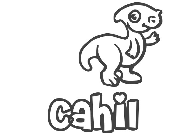 Nombre de Niño Cahil, significado, origen y pronunciación de Cahil ...