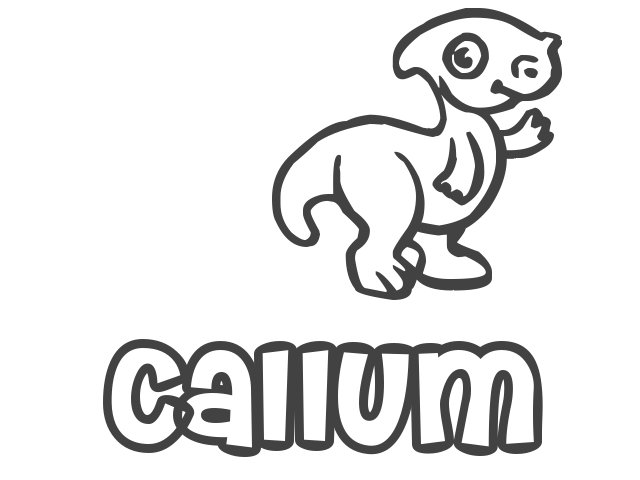 Nombre de Niño Callum, significado, origen y pronunciación de Callum ...