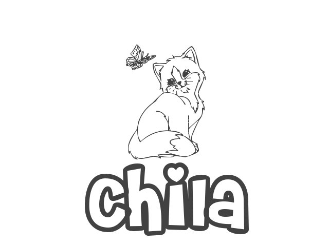Nombre de Niña Chila, significado, origen y pronunciación de Chila ...