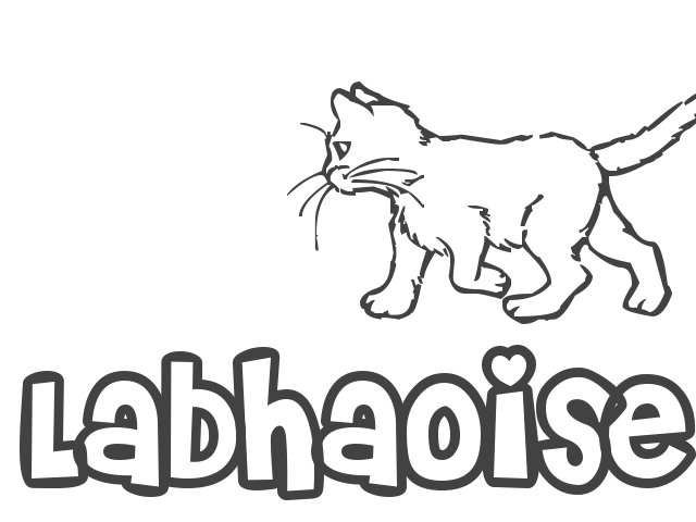Nombre de Niña Labhaoise, significado, origen y pronunciación de Labhaoise - TodoPapás- TodoPapás