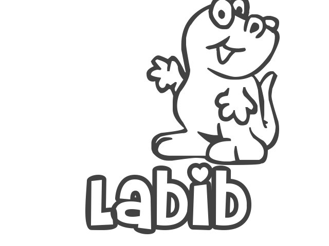 Nombre de Niño Labib, significado, origen y pronunciación de Labib ...