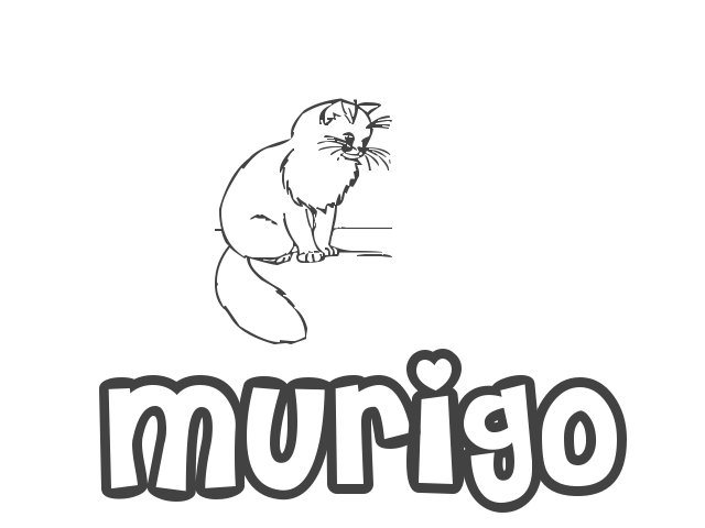 Nombre de Niña Murigo, significado, origen y pronunciación de Murigo ...