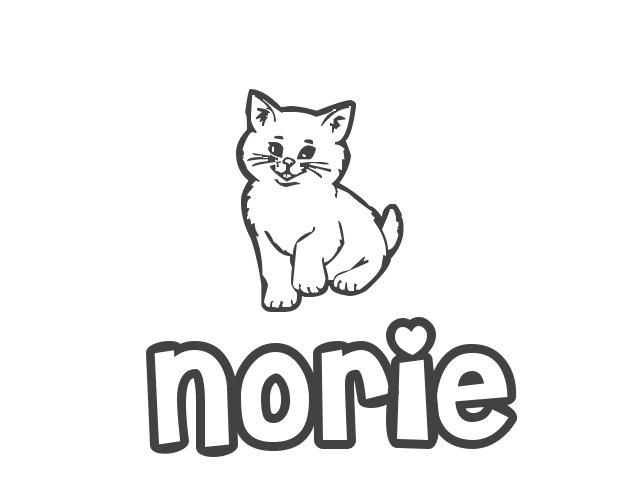 Nombre de Niña Norie, significado, origen y pronunciación de Norie ...