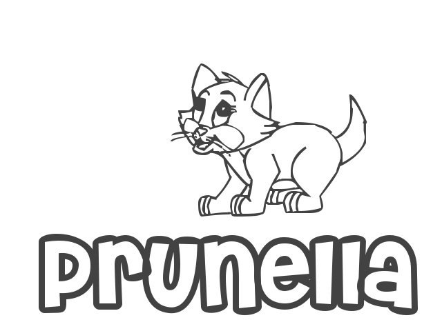 Nombre de Niña Prunella, significado, origen y pronunciación de ...