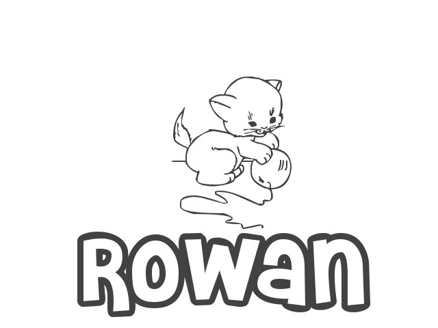 Nombre de Niña Rowan, significado, origen y pronunciación de Rowan ...