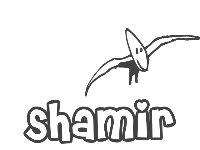 Nombre de Niño Shamir, significado, origen y pronunciación de Shamir ...