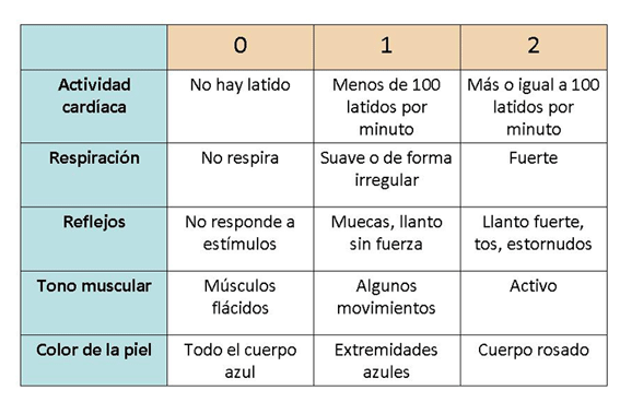 ¿Qué es el test de Apgar? - TodoPapás